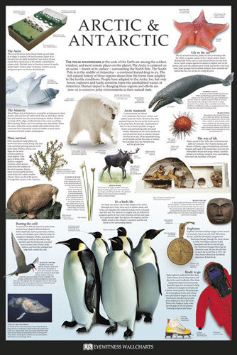 Arctic and Antarctic Educational Poster - DK Eyewitness Wallcharts/Pyr ...