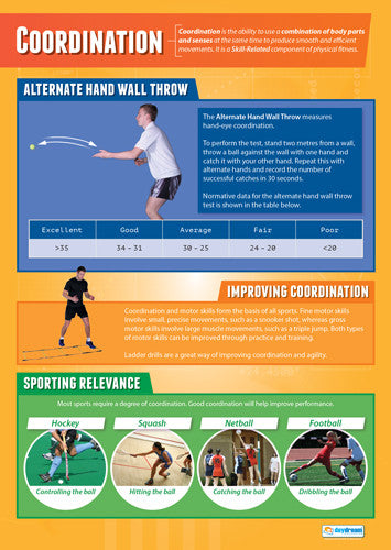 Physical Education COORDINATION Professional Fitness Wall Chart Poster ...