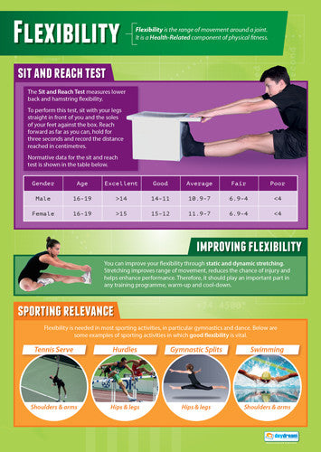 Physical Education FLEXIBILITY Professional Fitness Wall Chart Poster ...