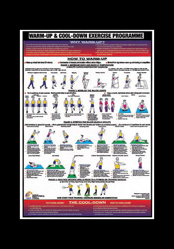 Warm-Up and Cool-Down Fitness Instructional Wall Chart - Chartex ...