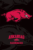 Arkansas Razorbacks NCAA Baseball Baum-Walker Stadium Panoramic Poster ...