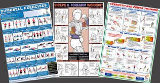 Leg Workout Professional Fitness Gym Wall Chart Poster - Fitnus Corp ...