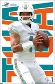 Miami Dolphins "All-Time Greats" (9 Legends, 2 Super Bowls) Premium ...