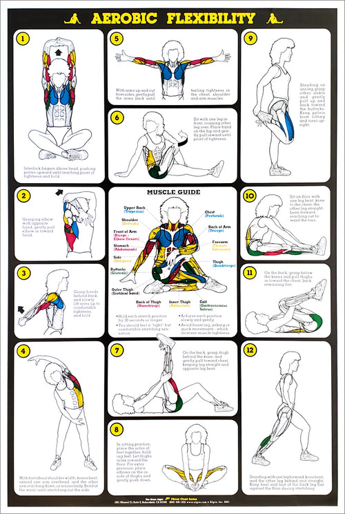 Stretching Fitness Posters – Sports Poster Warehouse