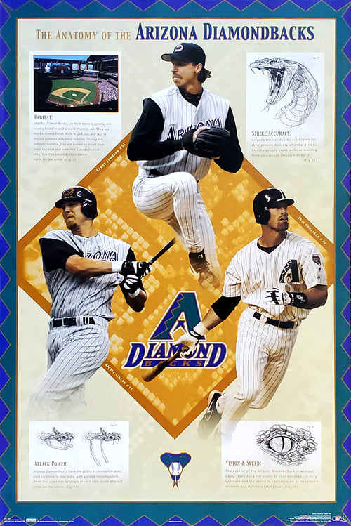 Arizona Diamondbacks Posters – Sports Poster Warehouse