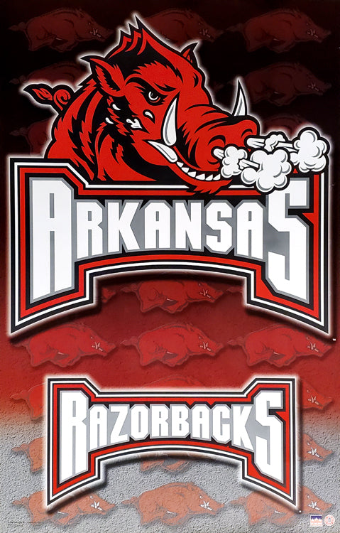 Arkansas Razorbacks NCAA Baseball Baum-Walker Stadium Panoramic Poster ...