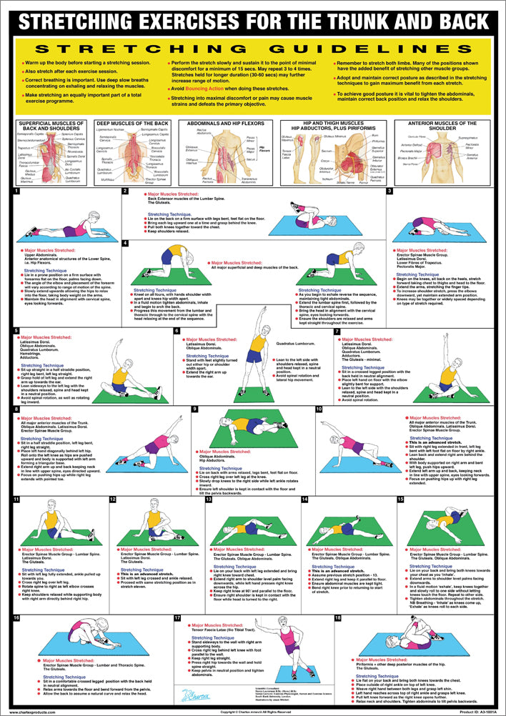 Stretching Exercises Fitness Wall Chart Set (3-Poster Combo) - Chartex ...