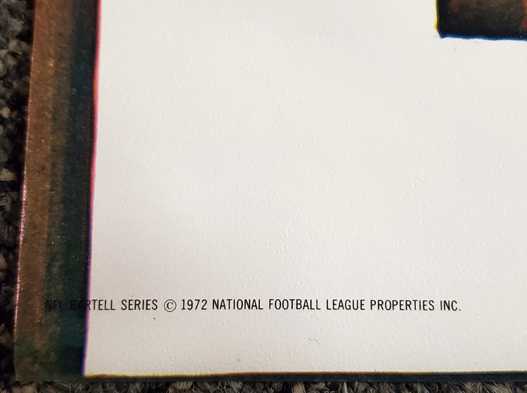 Detroit Lions 1972 Stancraft George Bartell Series Vintage Original 24 ...