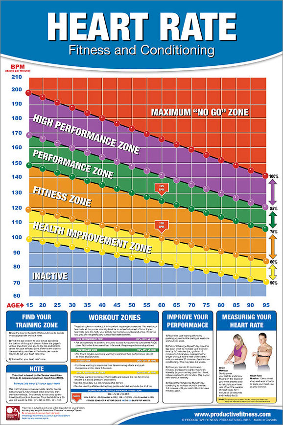 Elliptical Cross-Trainer Workout (Women's) Fitness Wall Chart Poster ...