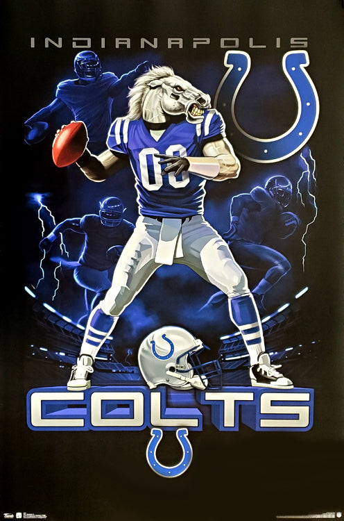 Indianapolis Colts Official NFL Football Team Premium 28x40 Banner Fla ...
