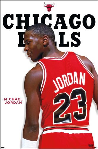 Michael Jordan "23 Dream" Chicago Bulls Commemorative NBA Poster - Cos ...