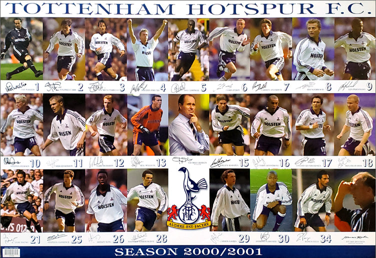 Tottenham Hotspur Official Team Portrait 2007/08 - GB Poster – Sports ...