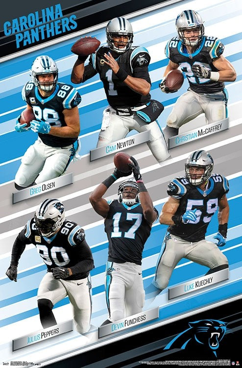 Carolina Panthers "Panthers Pride Since 1995" NFL Theme Art Poster - L ...