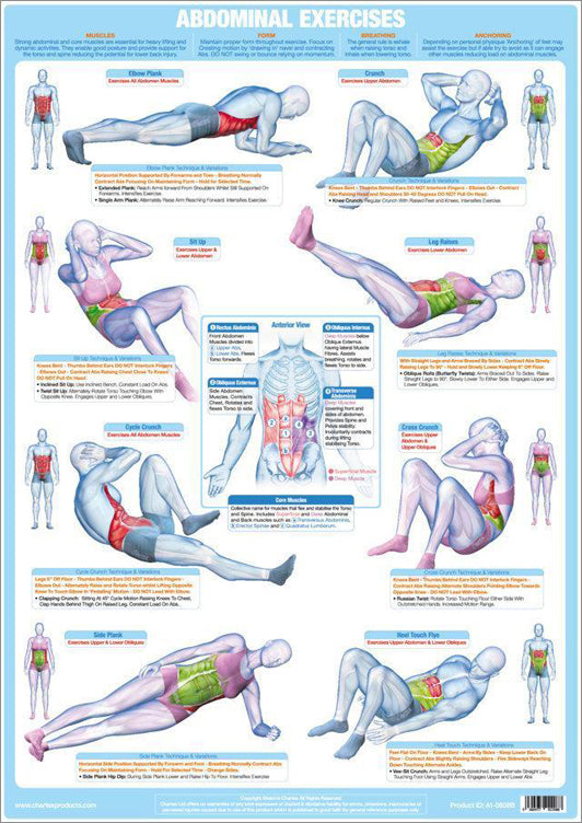 Shoulder Workout Professional Fitness Instructional Wall Chart Poster ...