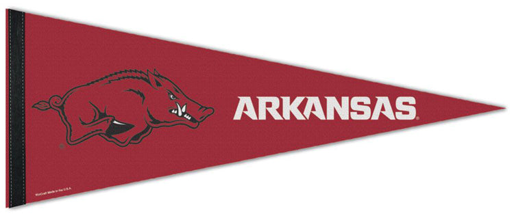 Arkansas Razorbacks NCAA Baseball Baum-Walker Stadium Panoramic Poster ...