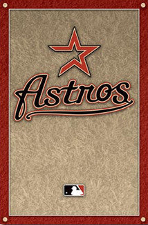 Houston Astros Official Team Logo Poster - Costacos 2008 – Sports ...