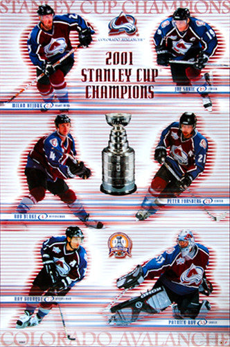 Colorado Avalanche Official NHL Hockey Team Logo Poster - Trends Inter ...