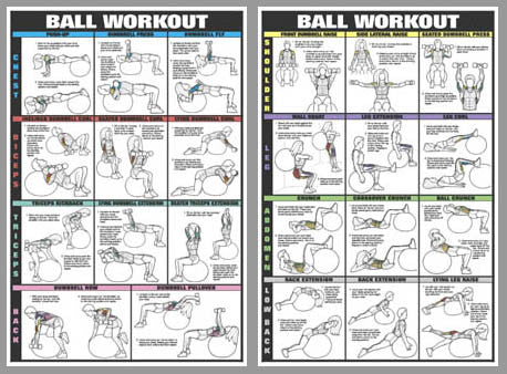 Swiss Ball Workout 2-Poster Professional Fitness Wall Chart Combo - Fi ...