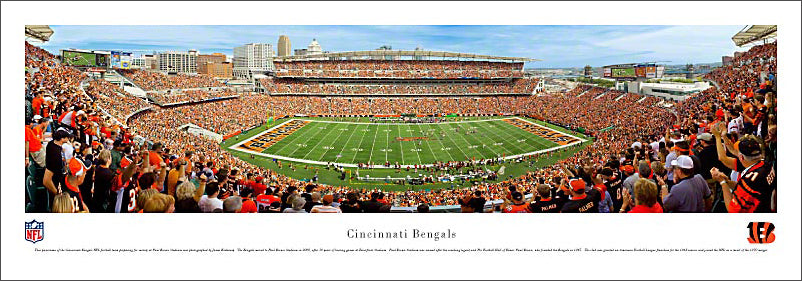 Cincinnati Bengals Gameday Panoramic Poster Print - Blakeway 2010 ...