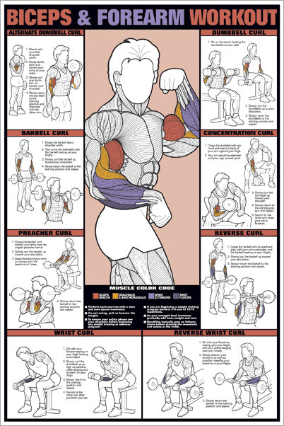 Strength Training Posters – Sports Poster Warehouse