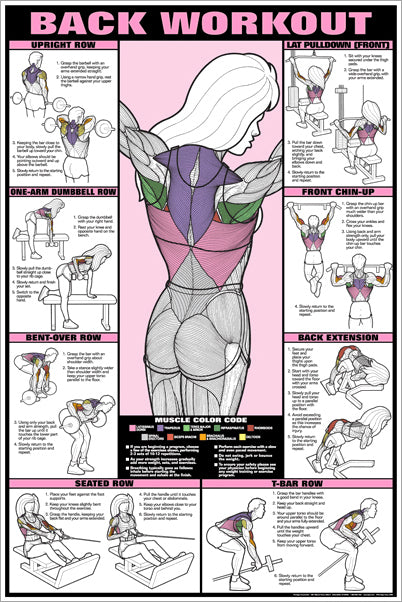 Strength Training Posters – Sports Poster Warehouse