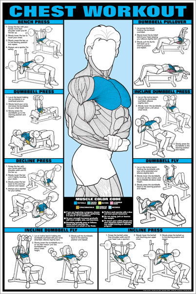 Strength Training Posters – Sports Poster Warehouse