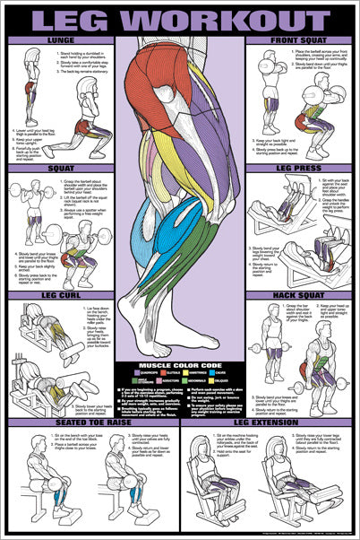 Strength Training Posters – Sports Poster Warehouse