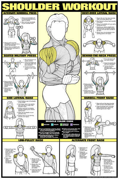 Strength Training Posters – Sports Poster Warehouse