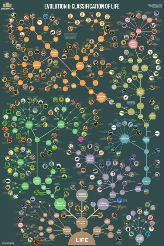 Timeline of World History (Human Civilization from 3,000 BCE to Presen ...
