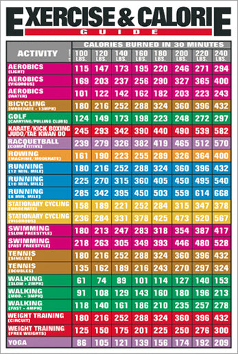 The Algra Fitnus Collection of Professional Fitness Wall Chart Posters ...