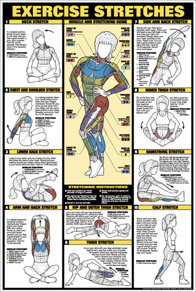 Women's Exercise Stretches Stretching Professional Fitness Wall Chart ...