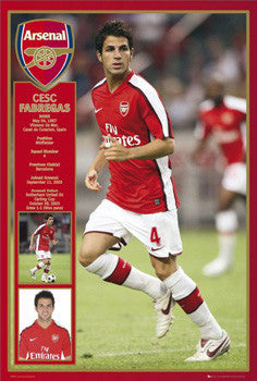 Cesc Fabregas "Profile" Arsenal FC Poster - GB Eye 2008 – Sports Poster ...