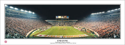 Florida State Seminoles Football "End Zone" Doak Campbell Stadium ...