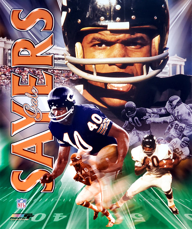 Chicago Bears "Bears Pride Since 1920" NFL Theme Art Poster - Liquid B ...