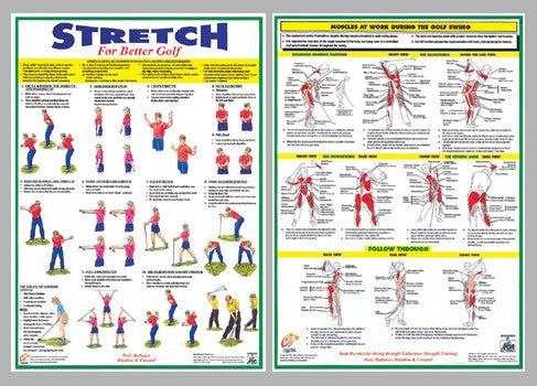 Chartex Products - Fitness, Health, Wellness, Anatomy Posters – Sports ...
