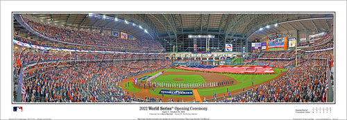 Buy Houston Astros World Series Champions Posters Here – Sports Poster ...