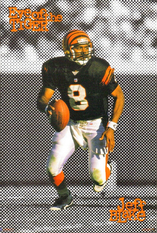 Cincinnati Bengals Retro Logo c.1968 Official NFL Football Team Poster ...