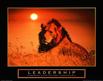 Lion Leadership Quotes In Like A Lion, Out Like A Roaring Lioness