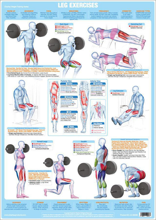 Leg Exercises Infographic Calisthenics Be Aspect Your OWN New Releases