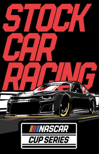 NASCAR Racing "Stock Car Racing" Poster - Pyramid America – Sports ...