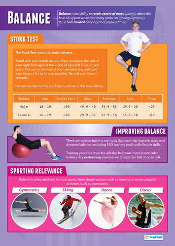 Physical Education BALANCE Professional Fitness Wall Chart Poster ...