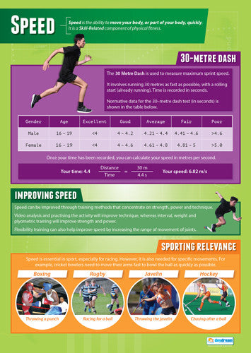Physical Education SPEED Professional Fitness Wall Chart Poster ...