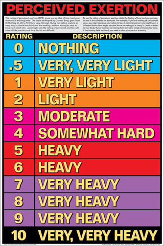 Weight Training Flexibility Stretching Professional Fitness Wall Chart ...