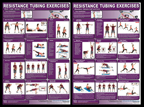 Exercise Stretching Professional Fitness Instructional Wall Charts (2 ...
