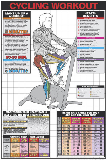 Cardiovascular Training Wall Chart Posters – Sports Poster Warehouse