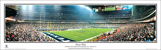 Houston Texans "First Win" (2002) Reliant Stadium Panoramic Poster ...