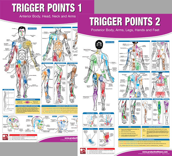 Trigger Points Massage Therapy Fitness Anatomy 2-Poster Wall Chart Set ...