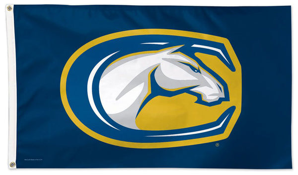 University Of California Davis Aggies