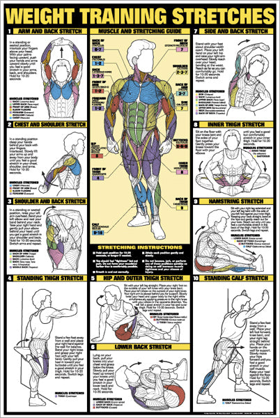 Elliptical Cross-Trainer Workout (Women's) Fitness Wall Chart Poster ...