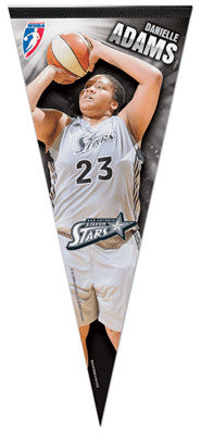Danielle Adams "Big-Time" WNBA Premium Felt Collector's Pennant ...